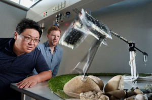 Artificial muscles propel a robotic leg to walk and jump