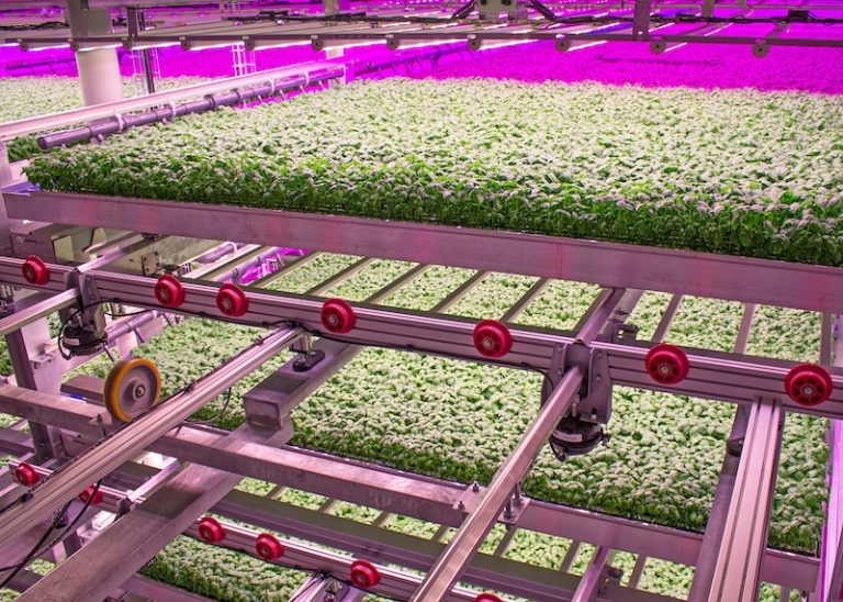 80 Acres Farms acquires three Kalera vertical farms to expand national ...
