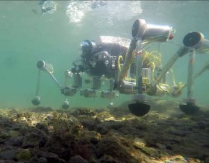 The future of ocean cleanup: bio-inspired robots, automation, and ...