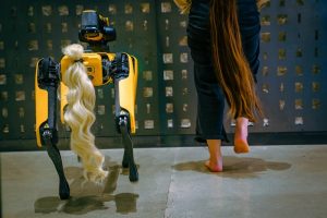 Boston Dynamics interview: Inside the movement, mission, and future of ...