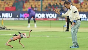 Robotic dog ‘Champak’ redefines IPL 2025 broadcast with camera and mic