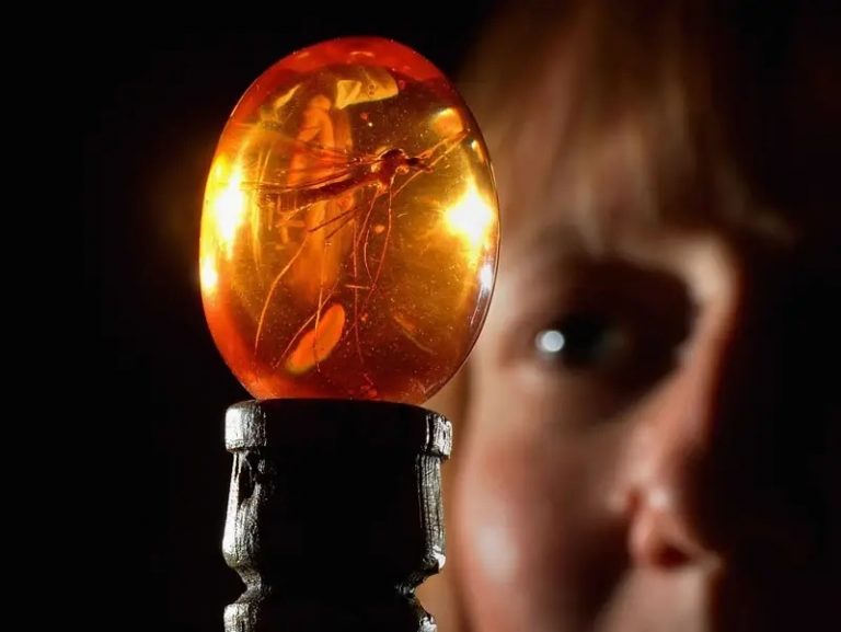 Can we bring back extinct animals and humans? The science of de-extinction