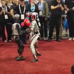 First robot boxing tournament in China ends with a dramatic knockout