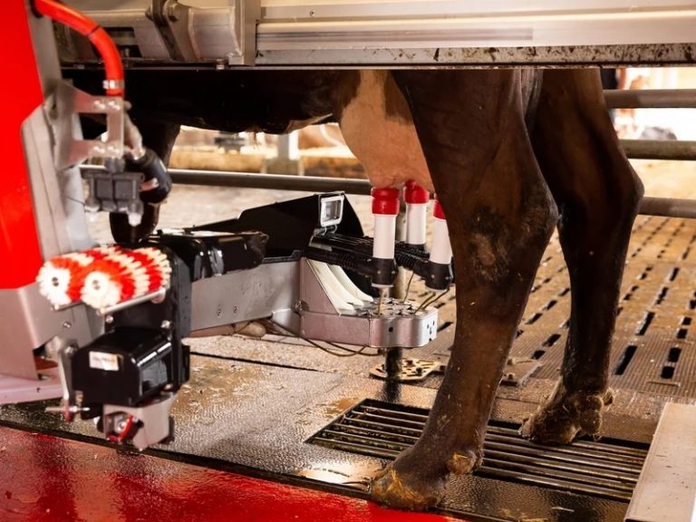 Lely unveils three new robotic systems to advance automatic cow milking