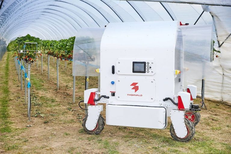 Saga Robotics secures $11.2 million to scale Thorvald agricultural ...