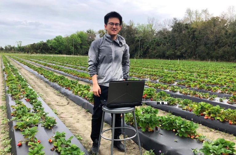 WSU researchers develop robot to harvest hidden strawberries with AI ...