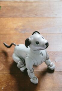 Social and companion robots are reshaping care, learning, and human ...