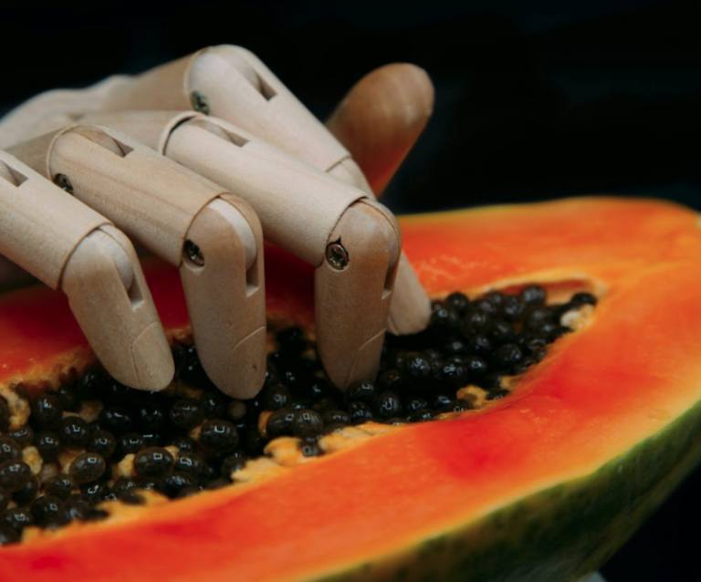 Automation in Food Processing