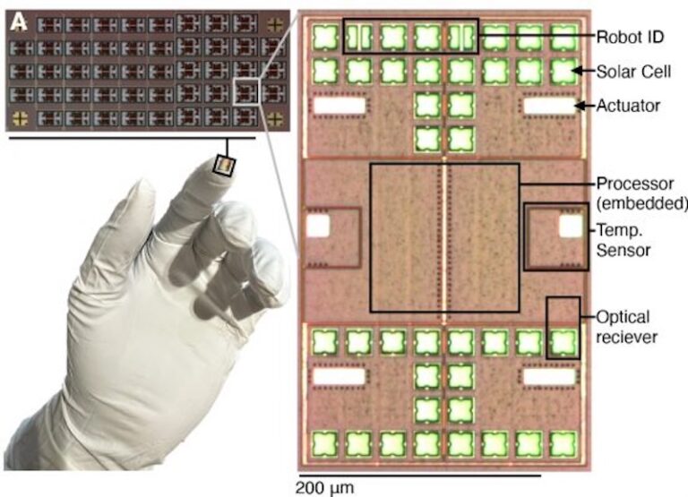 Penn and Michigan scientists create world’s smallest programmable ...